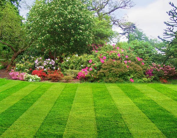 World of Mowers: Creating a Striped Lawn