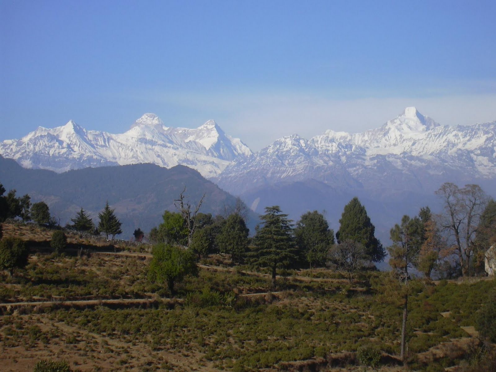 Chakori - JungleKey.in Image