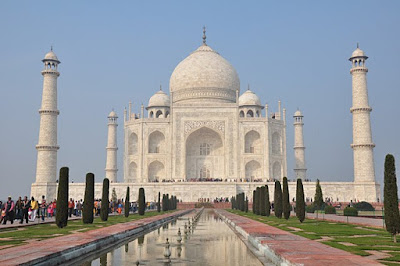 LOPHOPHORA: The stone flowers of the Taj Mahal - information on the ...