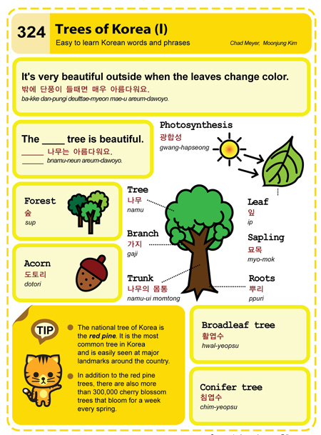 ☂ ☁현실 과 꿈: the korea time learn korean language K-T