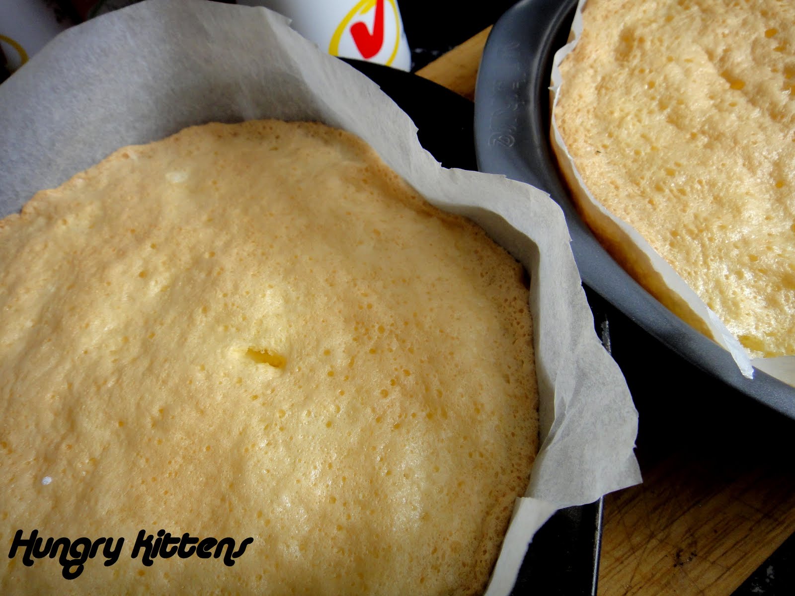 Hungry Kittens: Mangomisu for Christmas Day