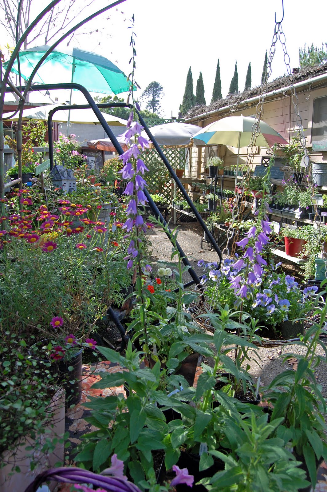 My Painted Garden: Spring at the Vintage Lady