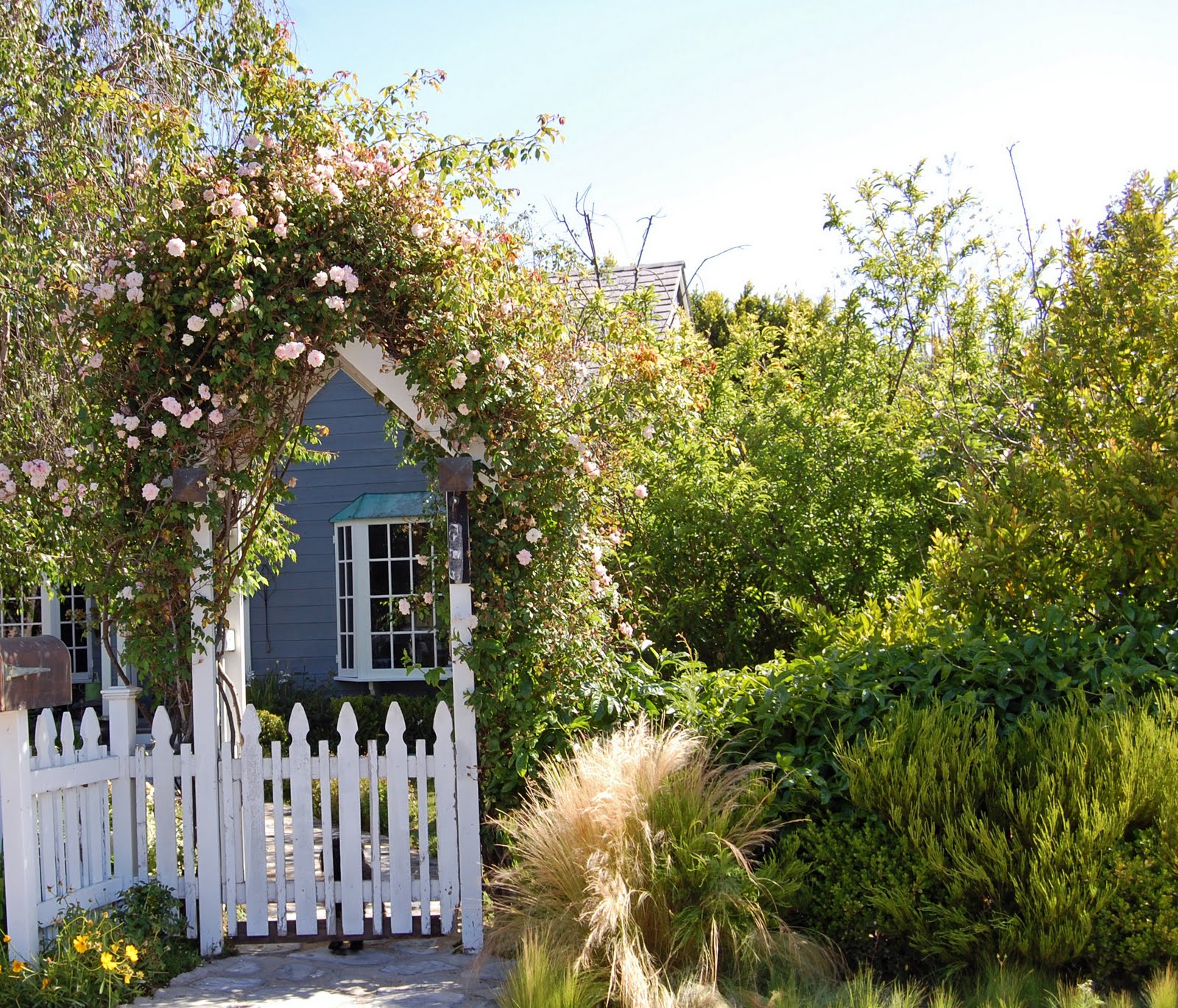 My Painted Garden: Pink Roses and a Little Cottage
