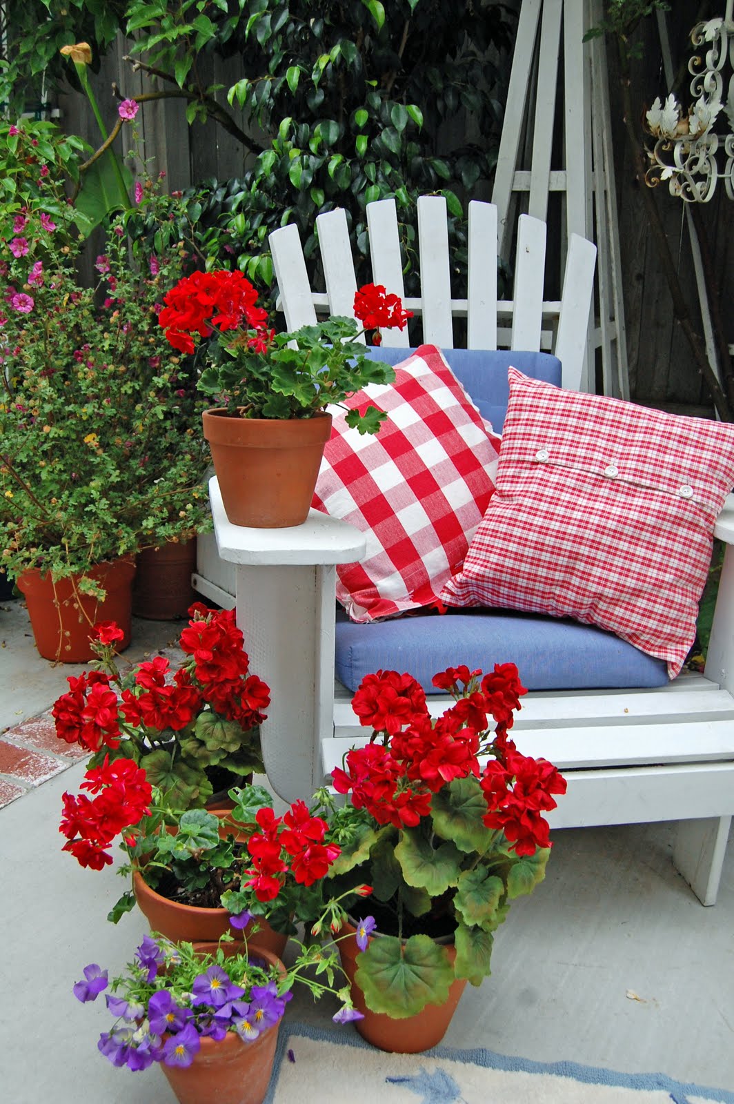 My Painted Garden: Geraniums Here- There - Everywhere