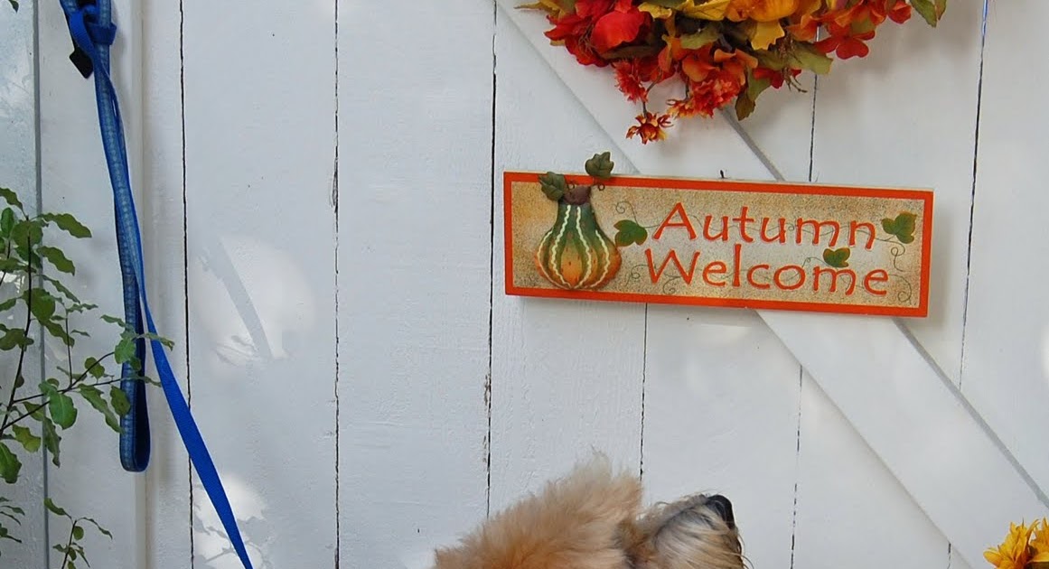 My Painted Garden: Happy Fall With A Tour of Roger's Gardens