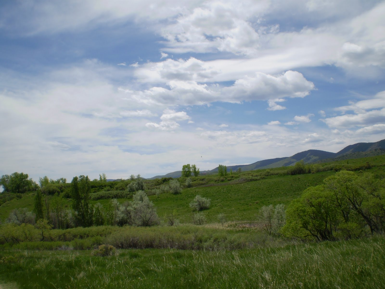 Denver's Bike Paths: JUNE 2010 Bear Creek Trail Exploration