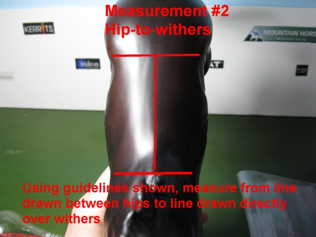 Noble Farms Custom Saddlery: Measuring for Model horse tack...