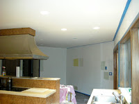 The Cool House: November 2007