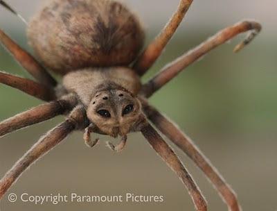 The World of Thomas Spettel: January 2011