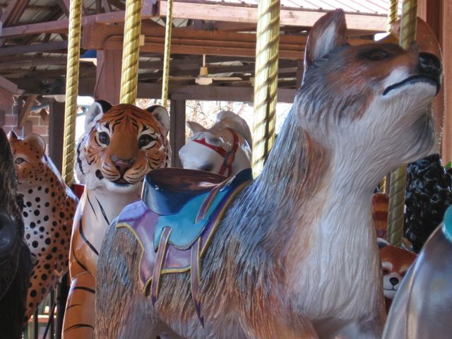 publicfigure: The Carousel at the Zoo