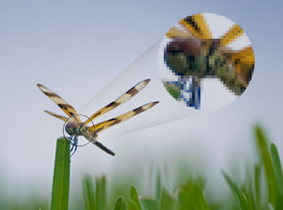 Tips Pa' tus Fotos: Que significa Pixel?