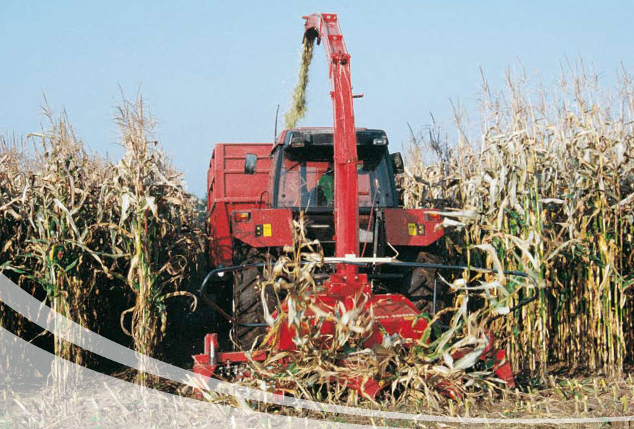 UTILAJE AGRICOLE NOI SI SECOND HAND: TOCATOARE PORUMB 4 RANDURI