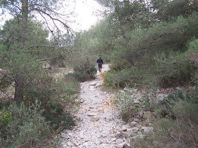 Chez Georges: LA GOUTINE ... DANS LA CLAPE