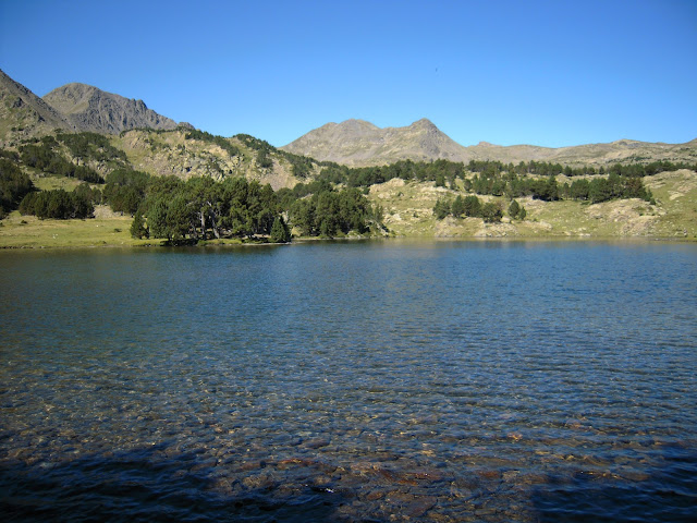 Le Blog "PYRENEES et NATURE" de Benjamin JOFFRE: La flore de la haute ...
