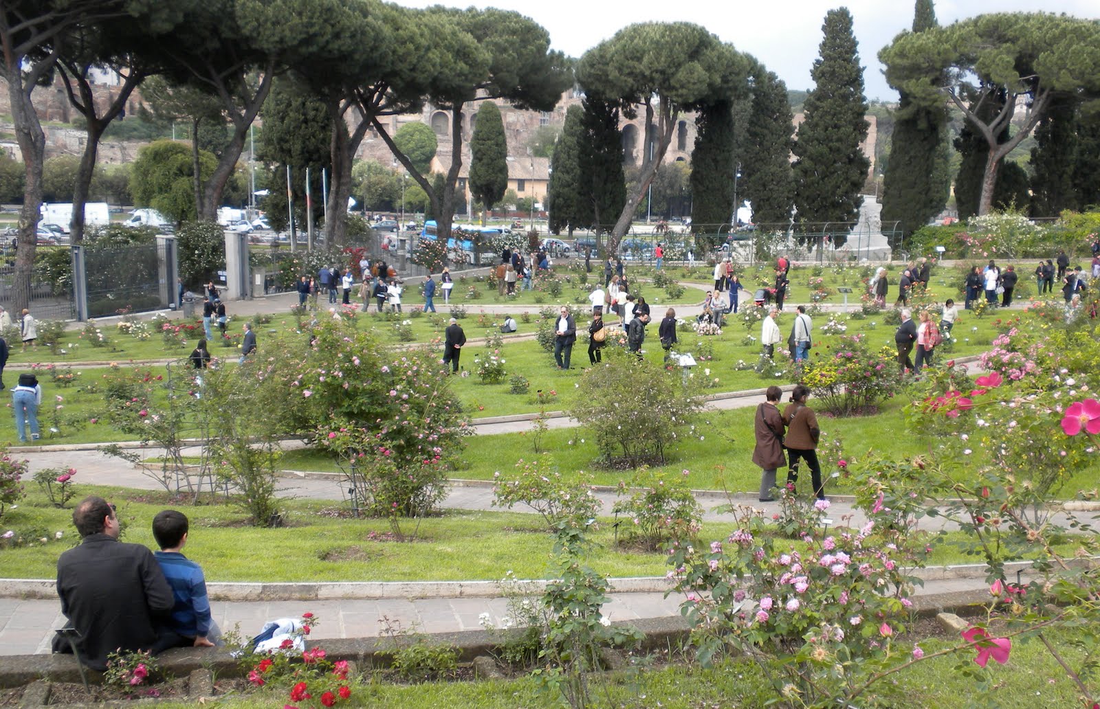AMOROMA: ROSETO - Rome Rose Garden