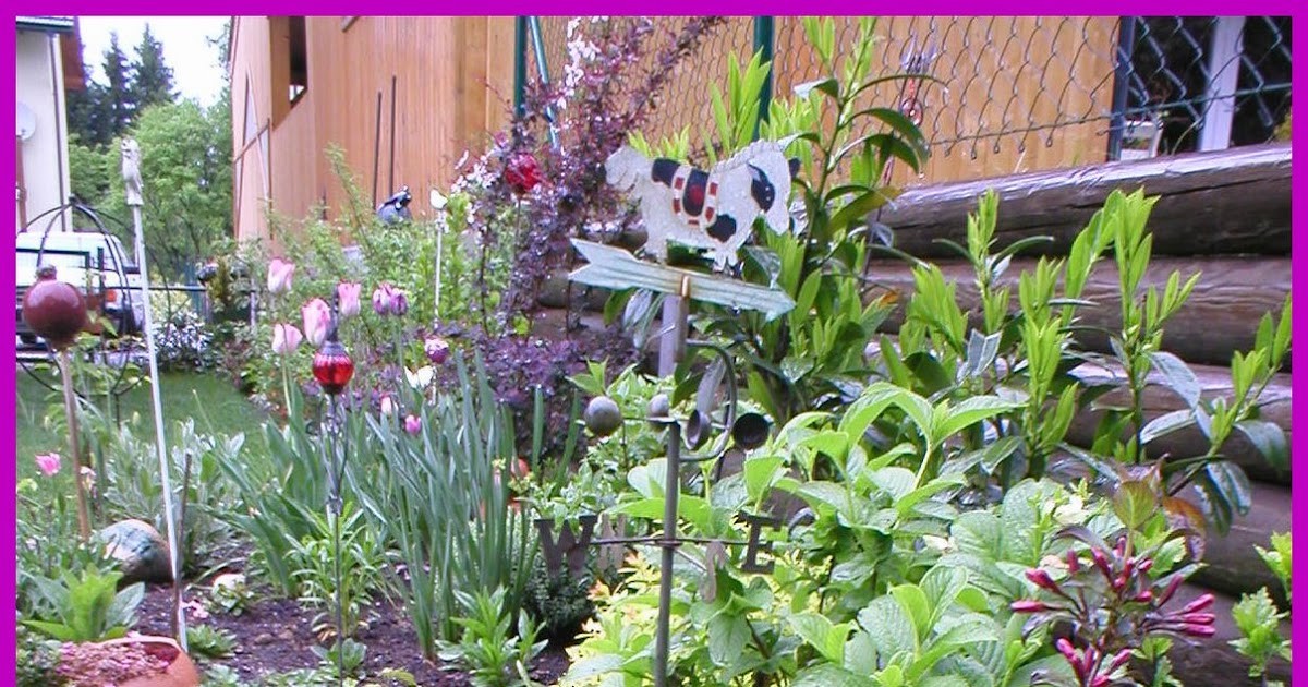 Der Garten im Regen - Mayodans Blog