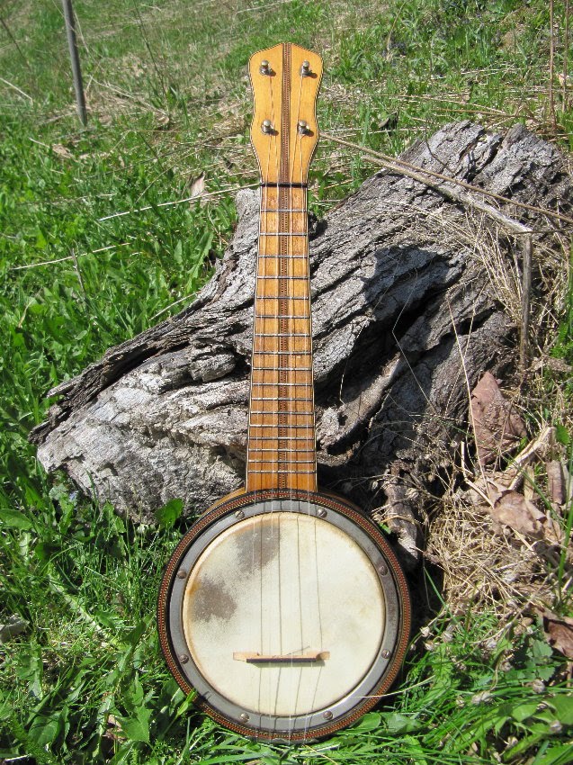c.1920 Super Fancy Maple Banjo Ukulele