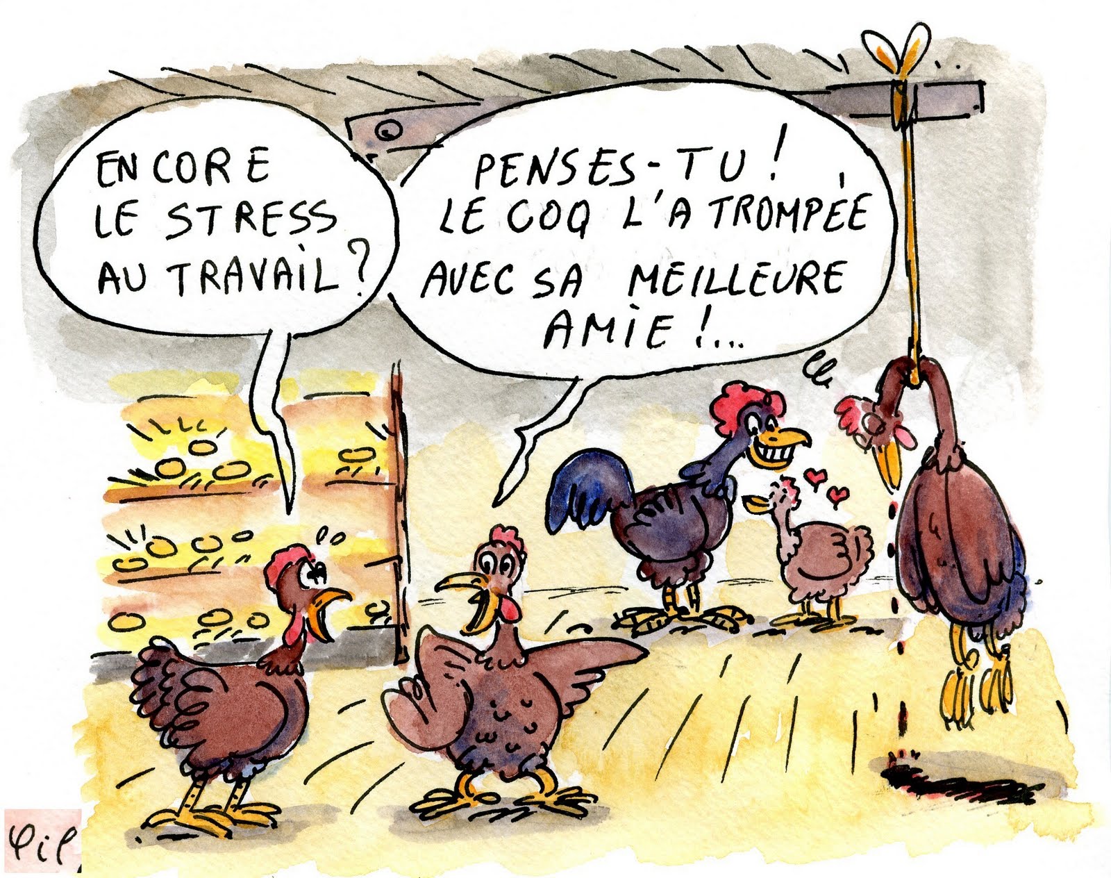 La mouche Ducoche: Des poules à lier
