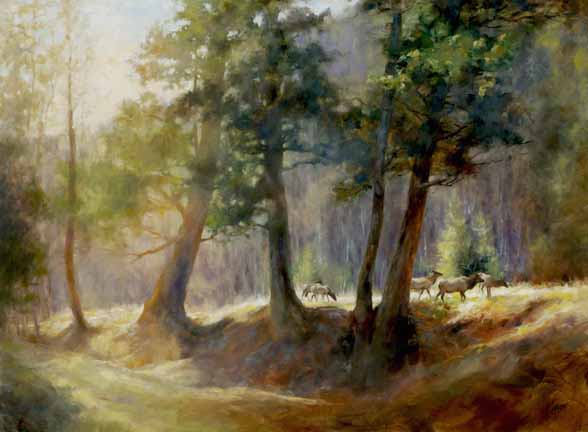 Susan Blackwood: Among the Trees