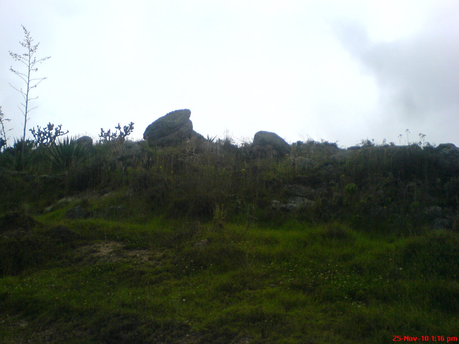 M.M LUGARES A VISITAR: PARQUE TEMATICO ARQUEOLOGICO ´´PIEDRAS DE CHIVO ...