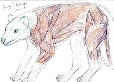 The Art of Amy: Life Drawing, animal skeleton and muscle