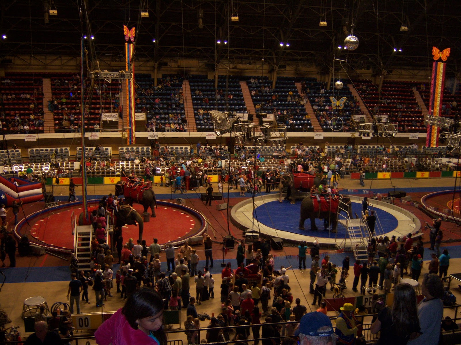 The Goodells: Friday Foto Fix - Texas State Fair and Shriner's Circus