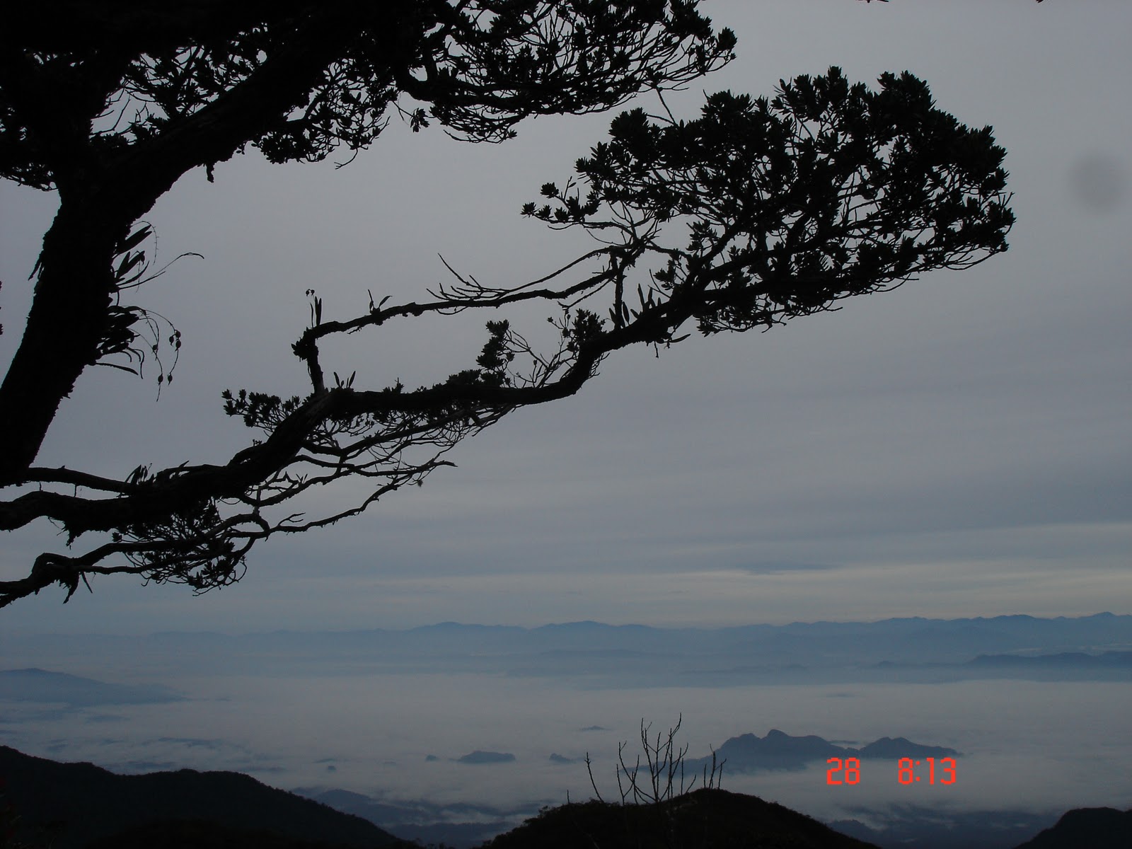 Tropical Rainforest Malaysia Indonesia Outdoors Adventure Skill Guide ...