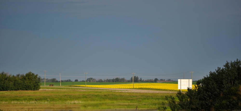 terryography: Prairie Scenes
