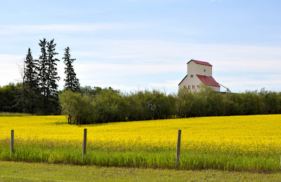 terryography: Prairie Scenes