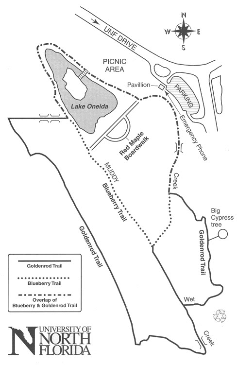 ColemanJournal: Field Trip #1 - UNF campus (Journal Entry #3)