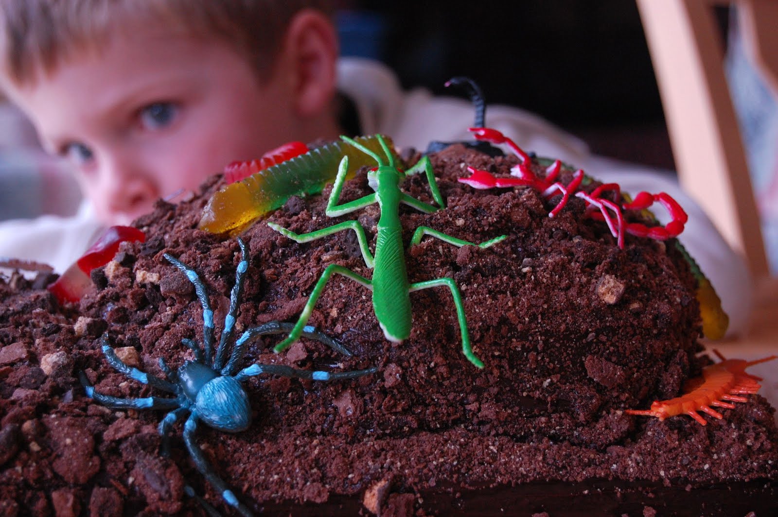 Art From My Table: Bug cake