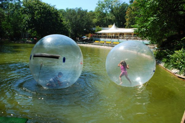 water walking ball: Water walking balls , zorbs and pools
