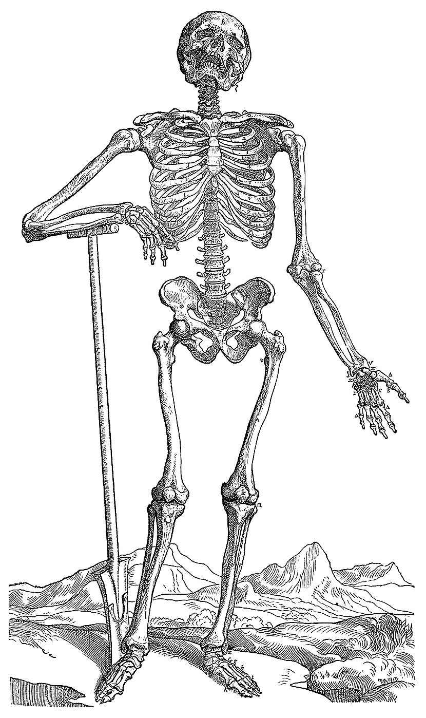 Survival Information For Everyone Creating The Plan A Skeleton Survival Information For Everyone Creating The Plan A Skeleton