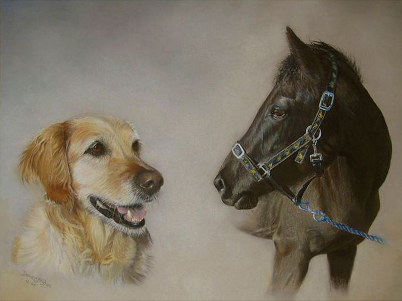 Portraits and Landscapes: Animal Portraits