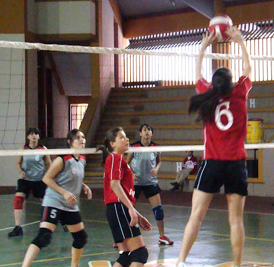 Santa Cruz Interscholastic Sports League: Girls Varsity Volleyball