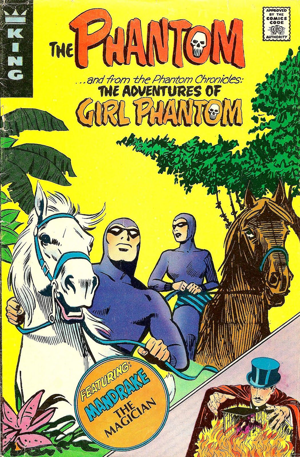 Rip Jagger's Dojo: Girl Phantom!