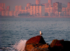 REFLEXIONES: Cayetano Ripoll, maestro, última víctima de la Inquisición