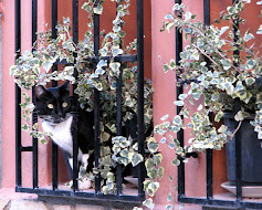 REFLEXIONES: Cayetano Ripoll, maestro, última víctima de la Inquisición