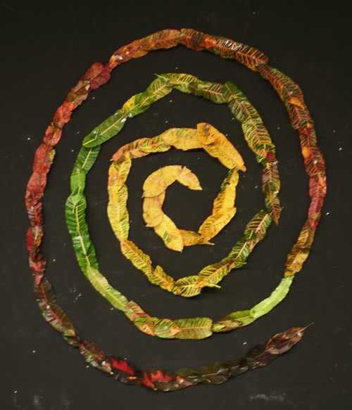 NWSA- ART 3D Comprehensive: Natural Material Exploration (crit March 19)