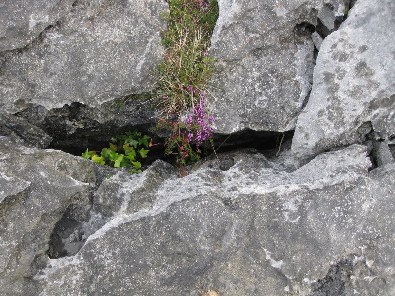 European Adventures: The Burren