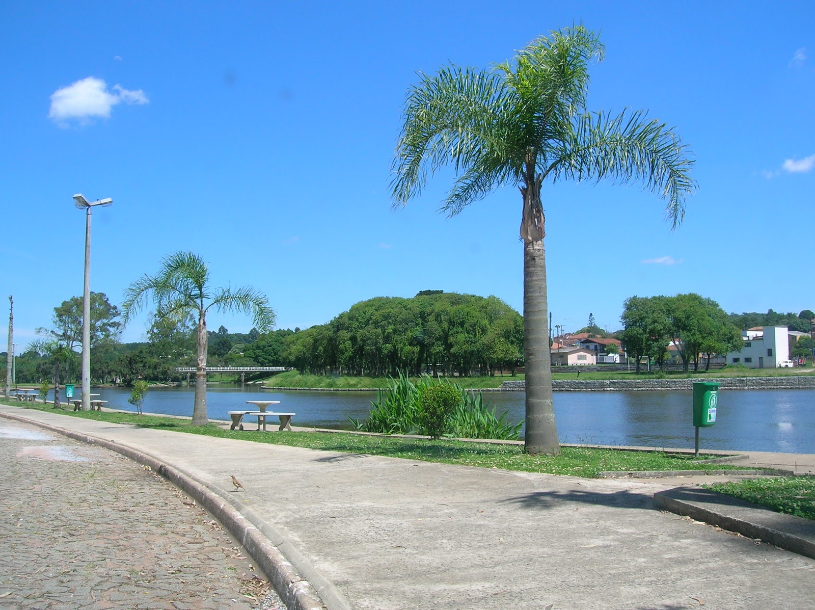 Viajar é Preciso.: Castro - Paraná - Brasil