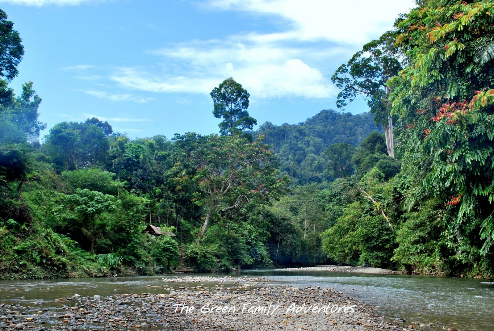 The Green Family Adventures: Tangkahan National Park