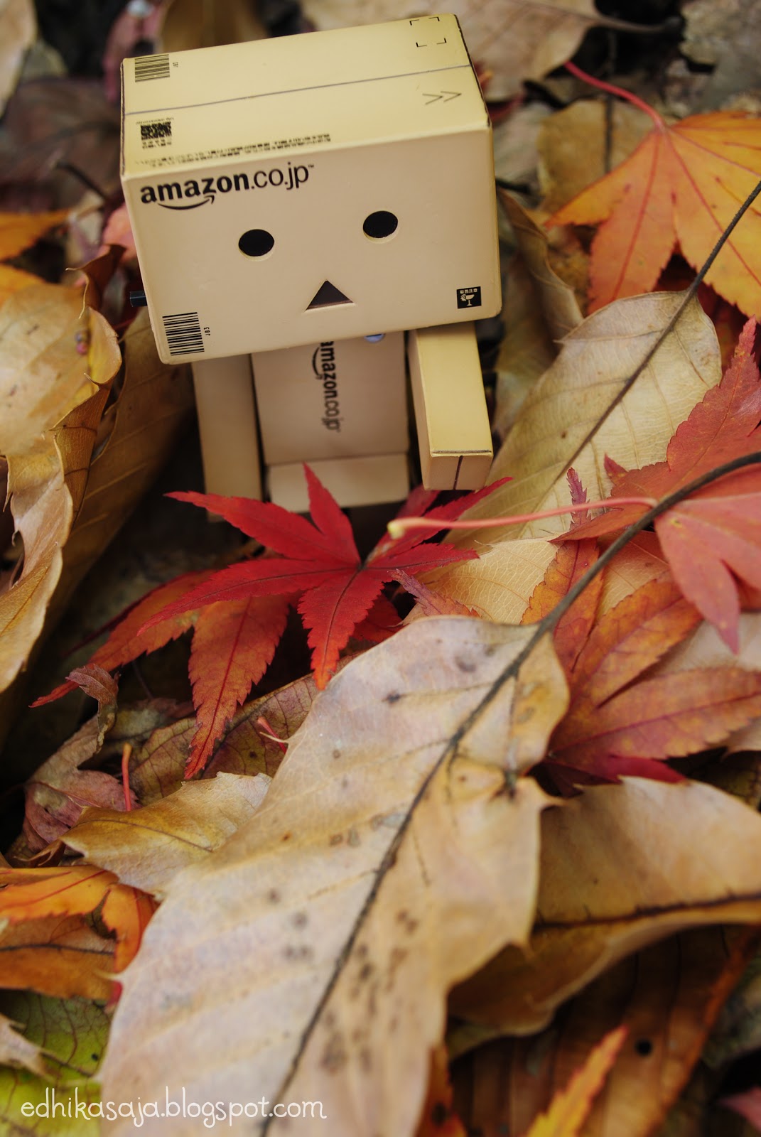 Edhikaapop's Blog: Danbo And Autumn Leaves