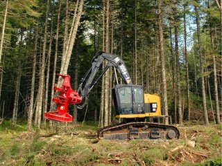 HEAVY MACHINES: Feller Bunchers