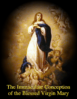 Immaculate Reception Gif