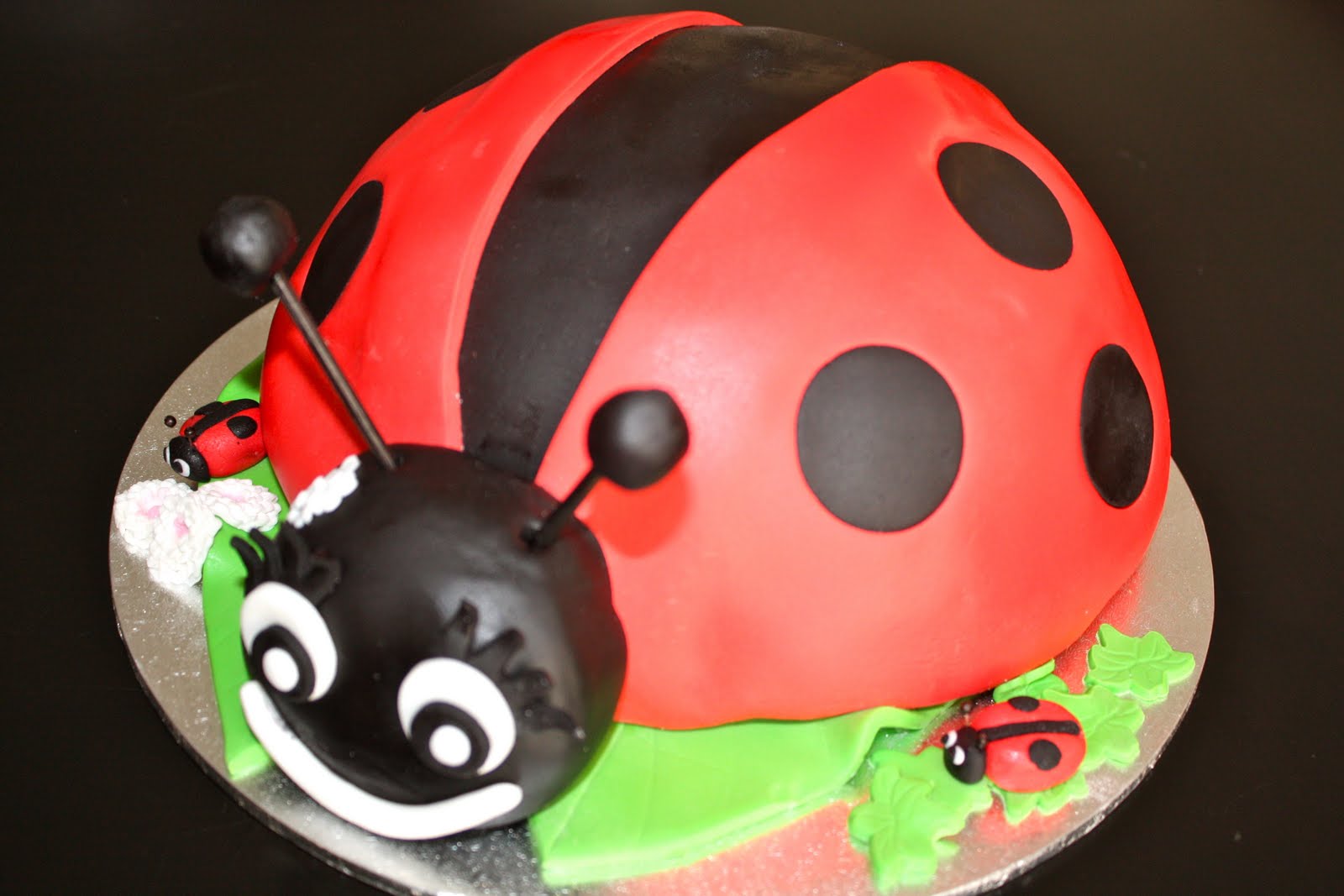 Mandylicious Cakes: Lady bird Cake