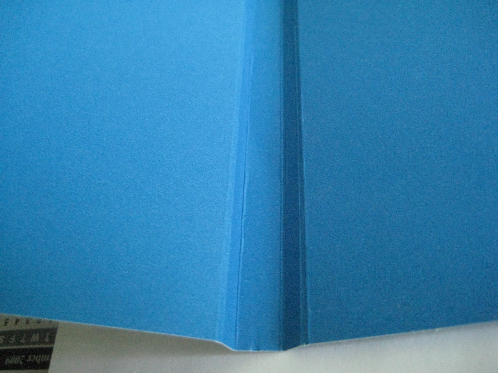 ScrappyRN: Making your own Cardstock binders for the YourStory