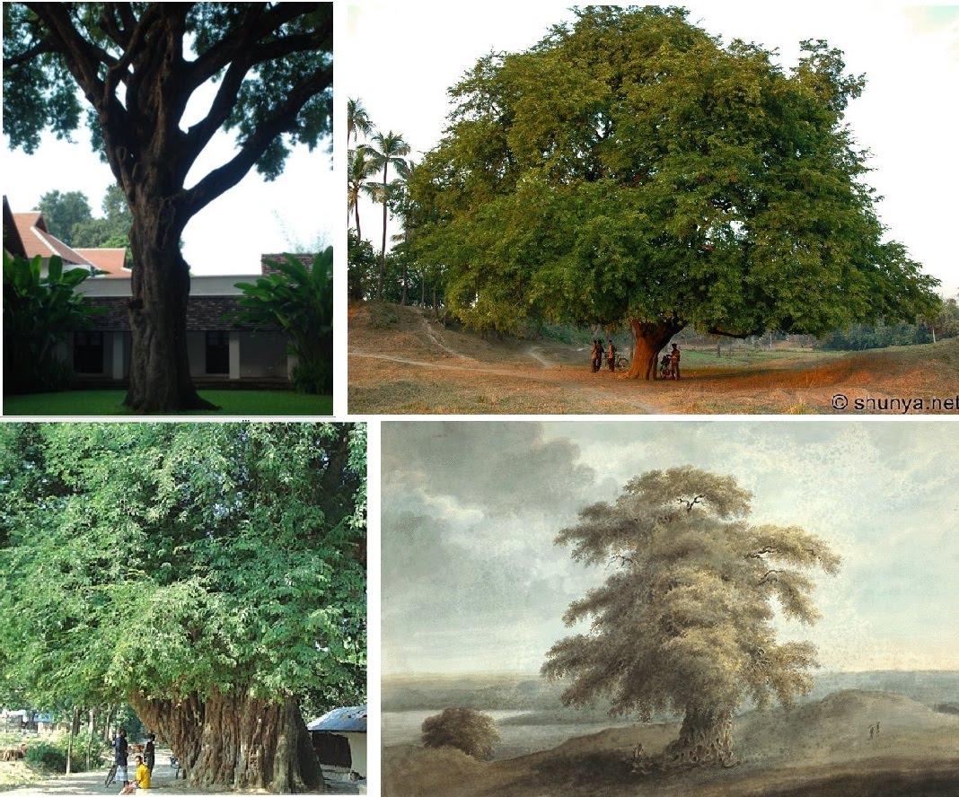 Caprarius Aquacorn: Pune Street Scene VII: Pashan’s (Very) Old Hanuman ...