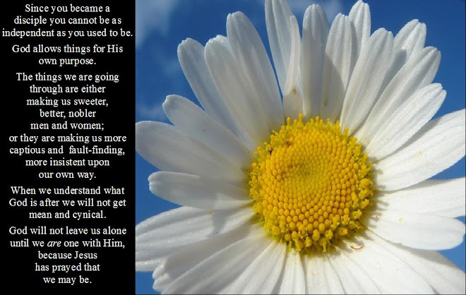 Eyes on CHRIST-May Devotions