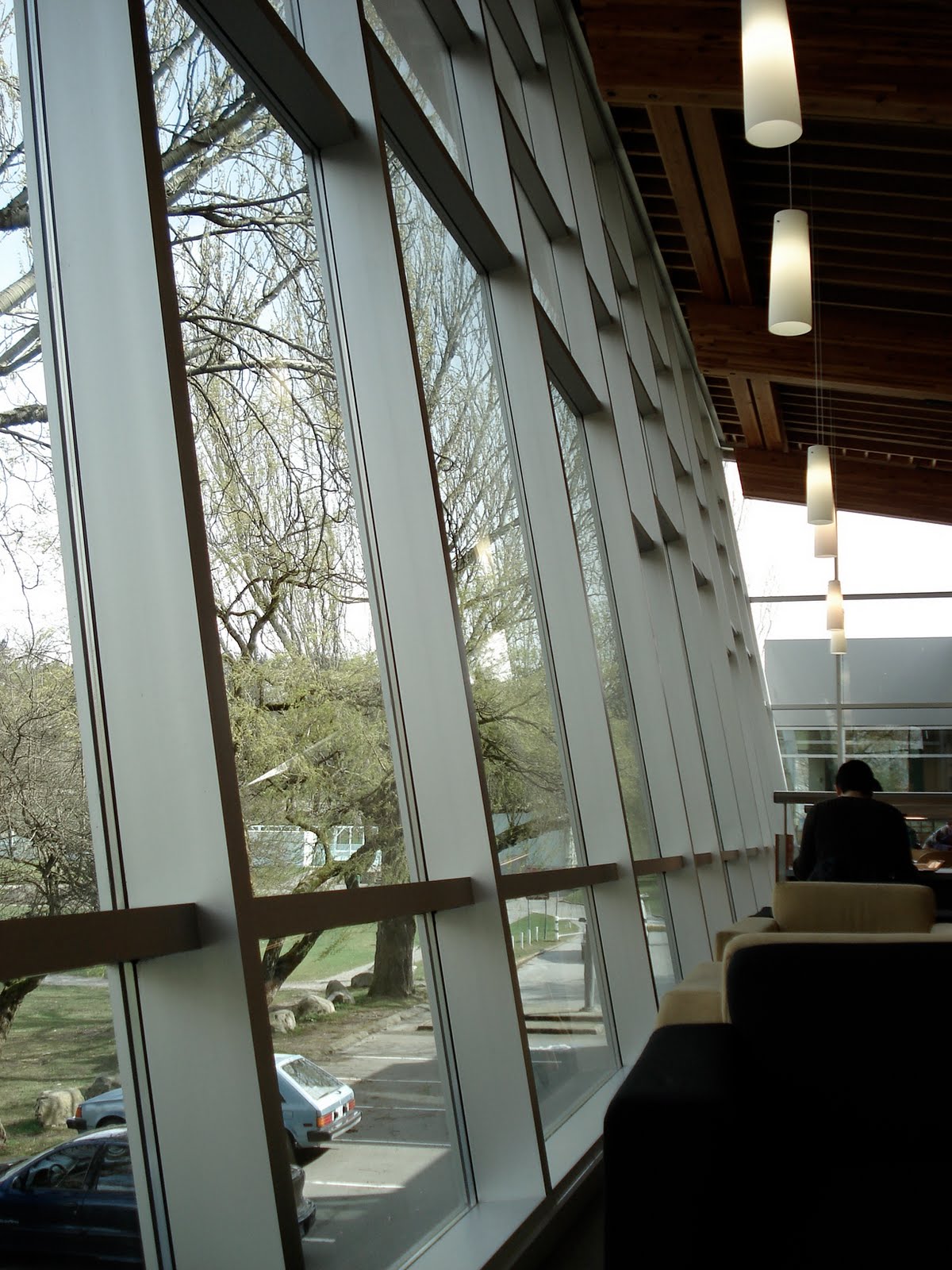 Oh My Calico!: McGill Library - Burnaby